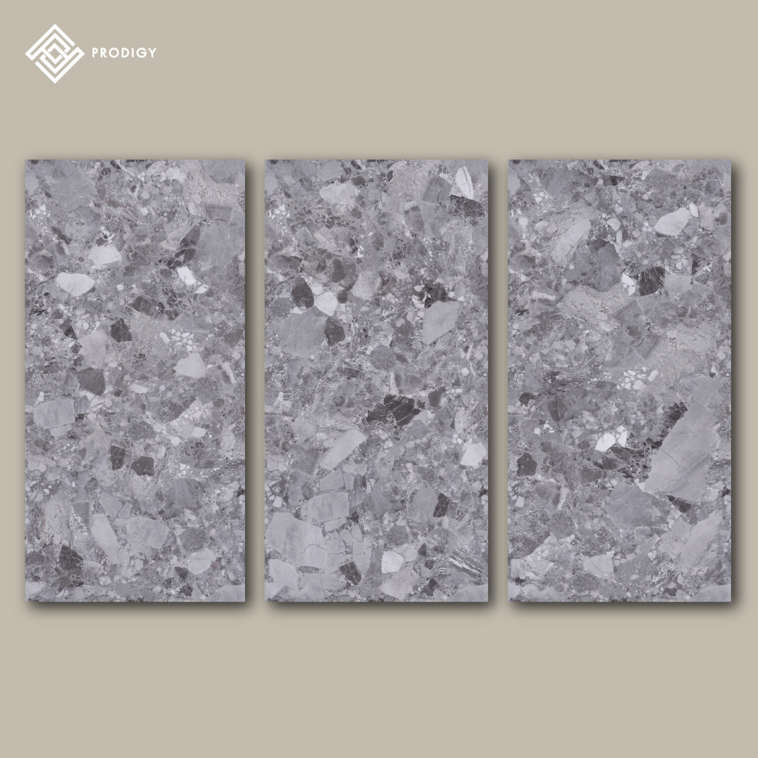 Picasso Grey - Prodigy Design